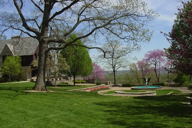 Bee Tree Park Wedding Officiant | Park Weddings | Bee Tree Park in St Louis